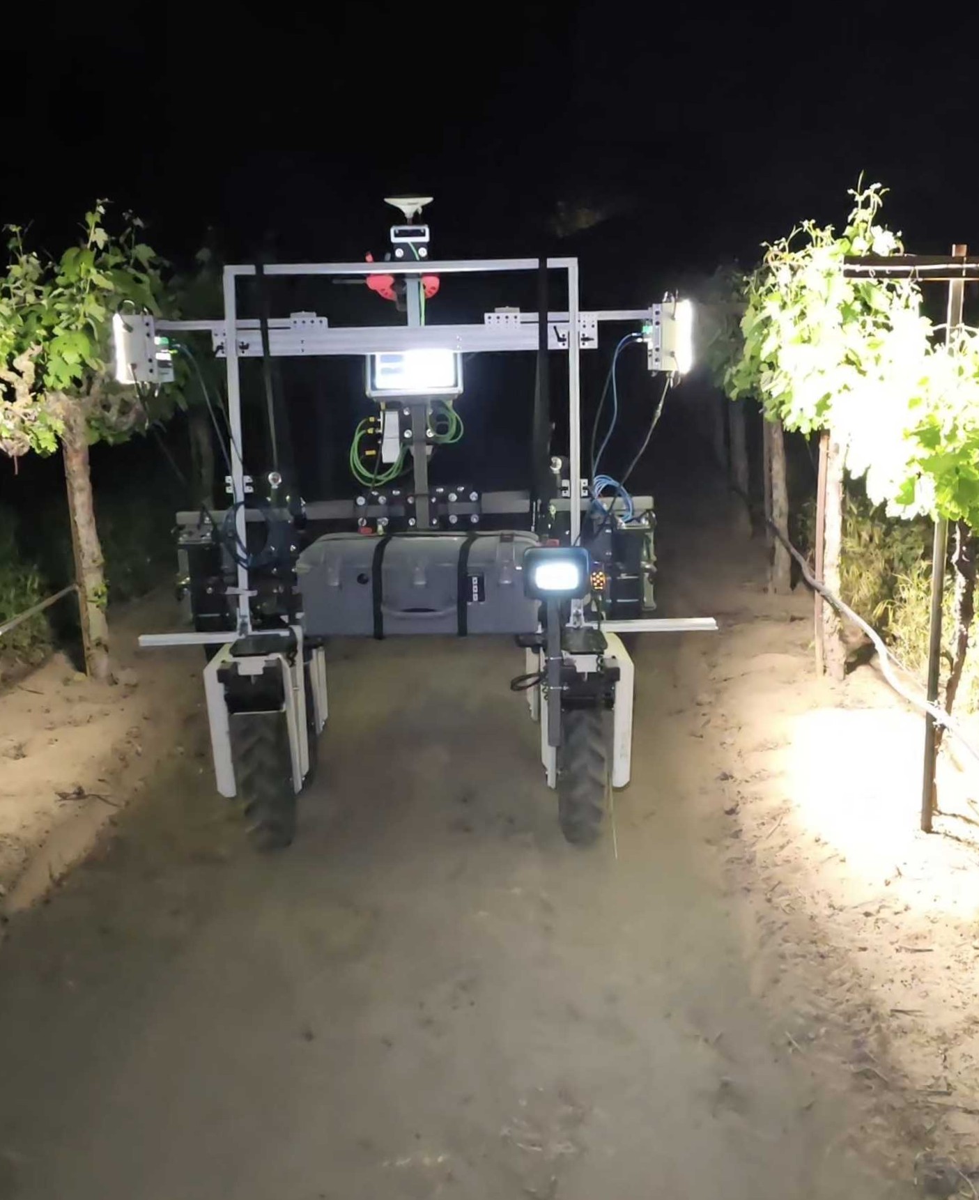 Budbreak - AI-Powered Disease Detection